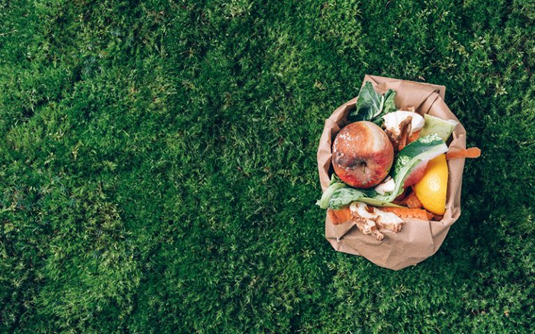 O que é biodegradação e para que serve? - TG Services